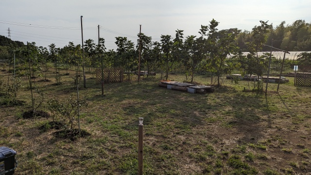 ベリーキャンプ場予約